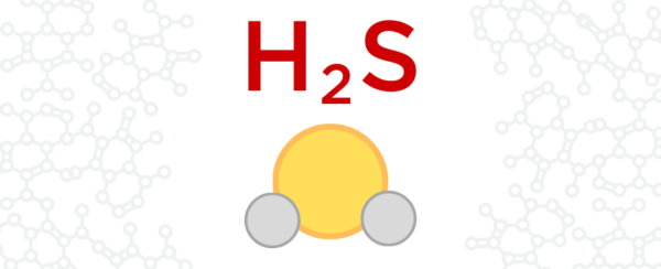 What is H2S? - Interra Global