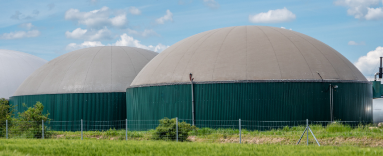What is Biogas? - Interra Global