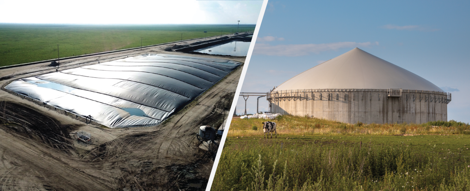 What is a Biodigester? - Interra Global