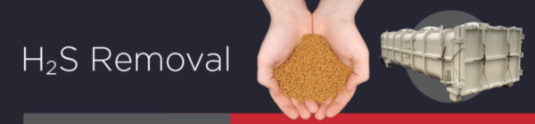 H2S Removal - Interra Global